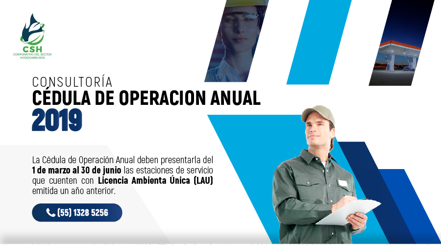 Cédula de Operación Anual 2019 - Consultoría especializada - ASEA